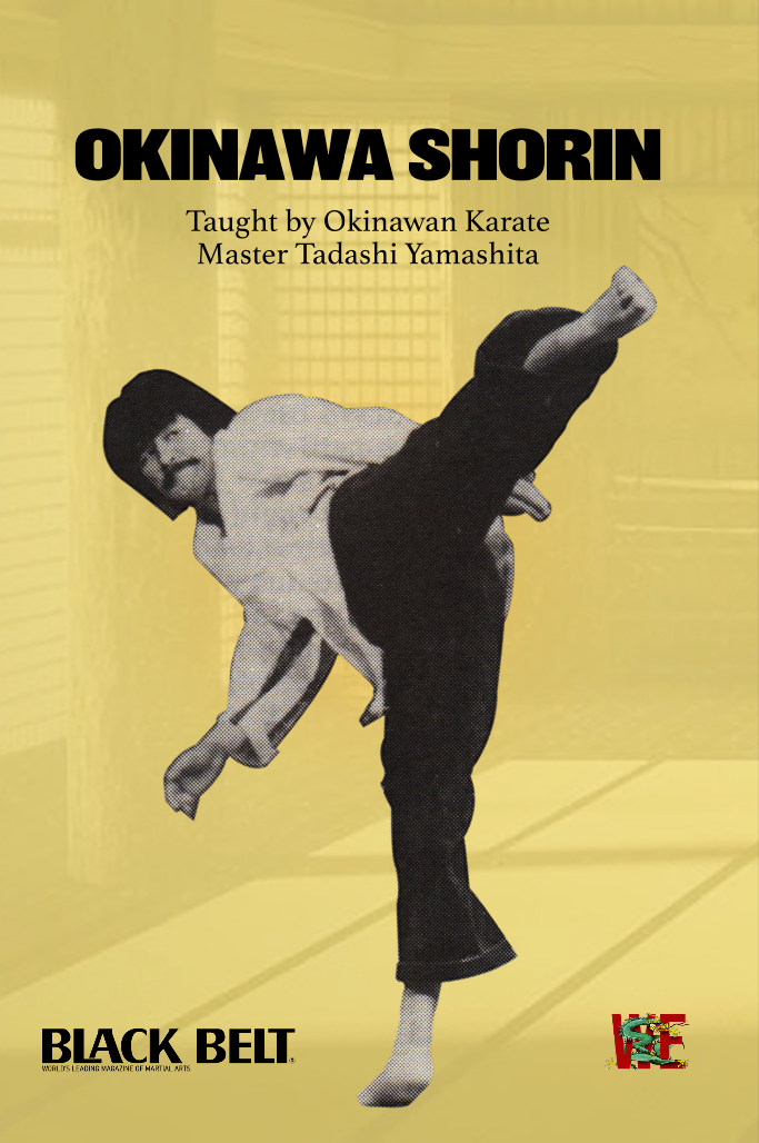 Shorin Ryu Karate Stances